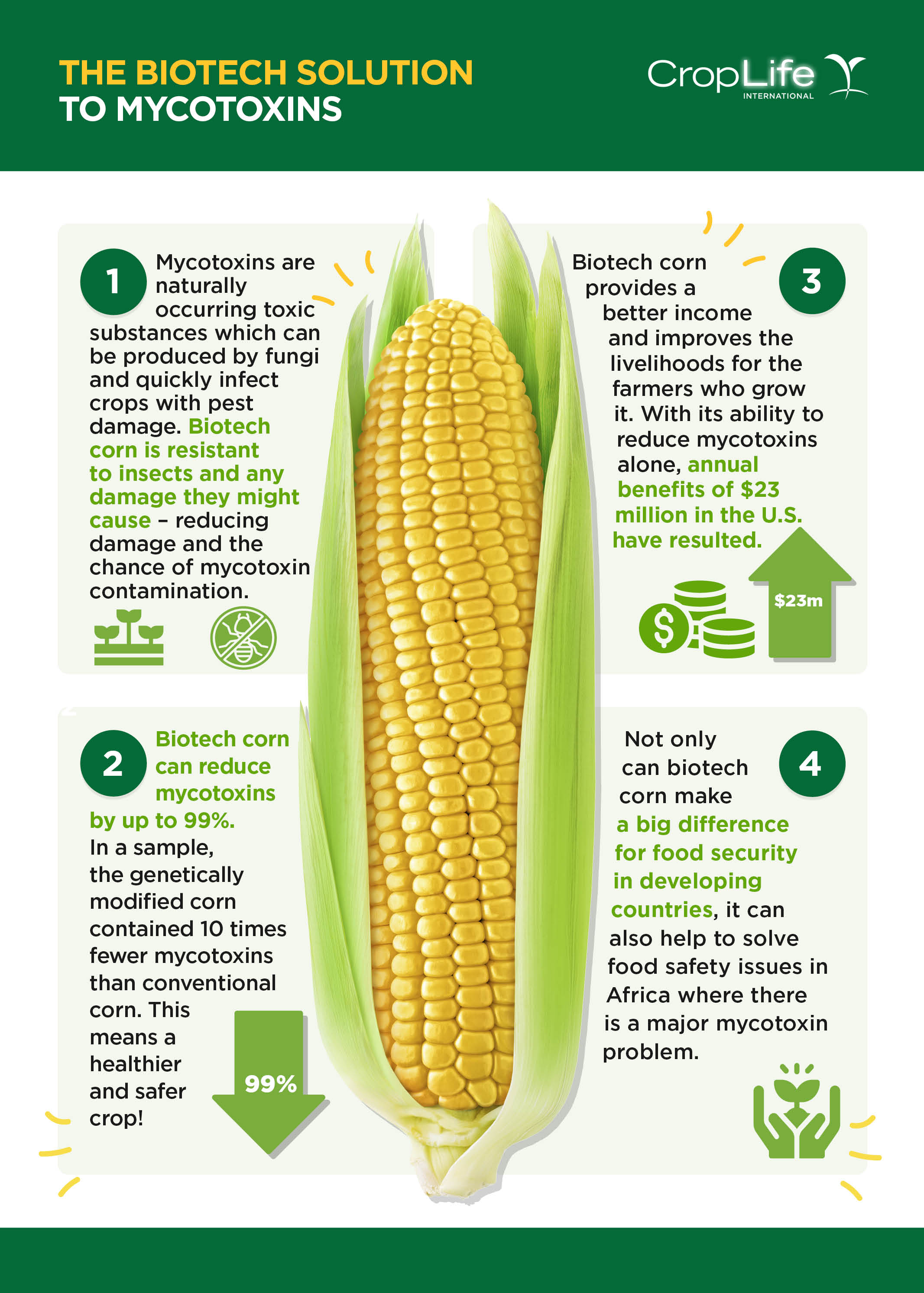 Are all corn products GMO?