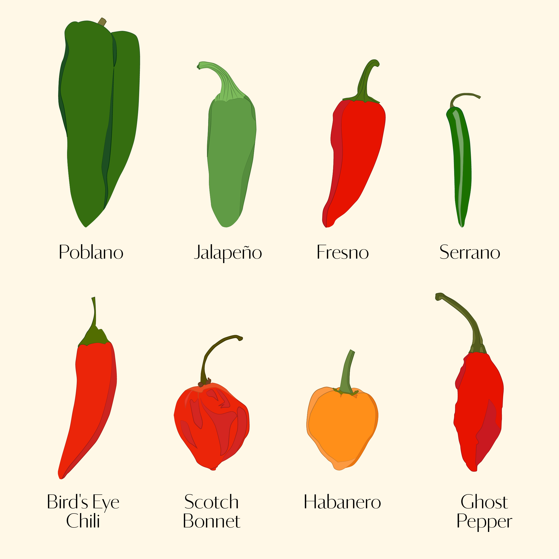 Are all peppers Chiles?