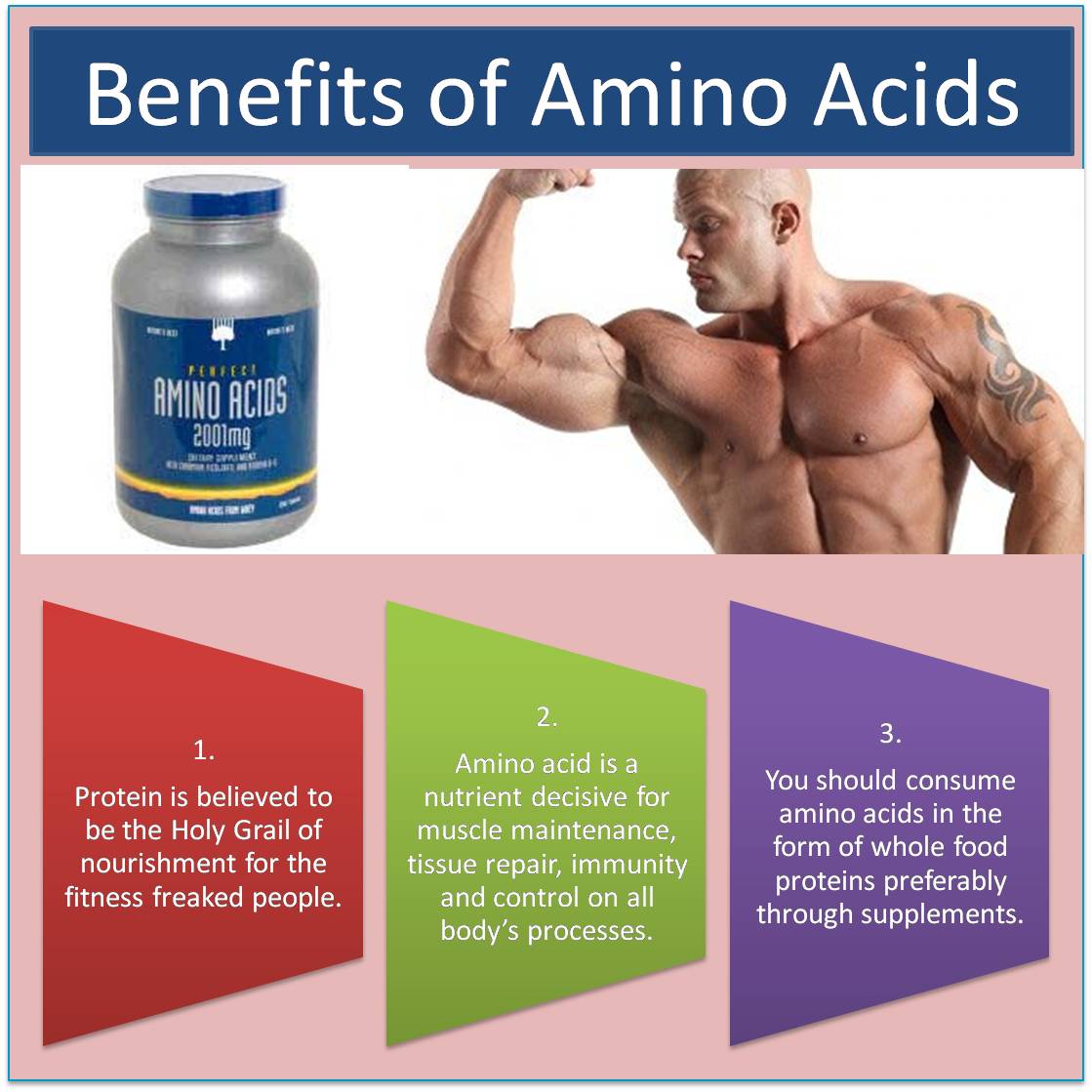 Are amino acids good for you?
