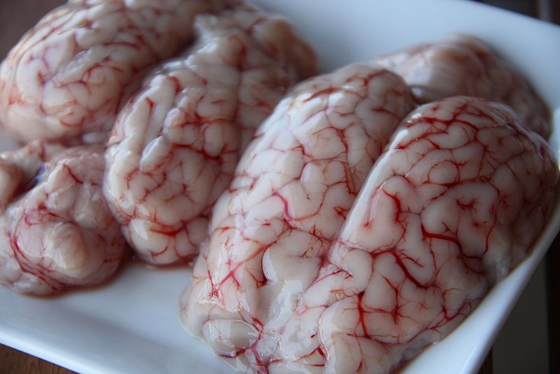 Are animal brains safe to eat?