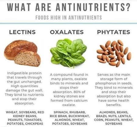 Are antinutrients good for health?