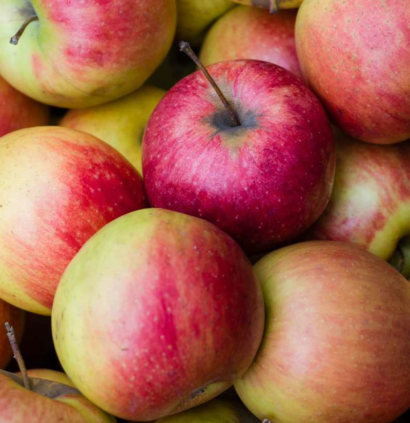 Are apples good for diabetics?