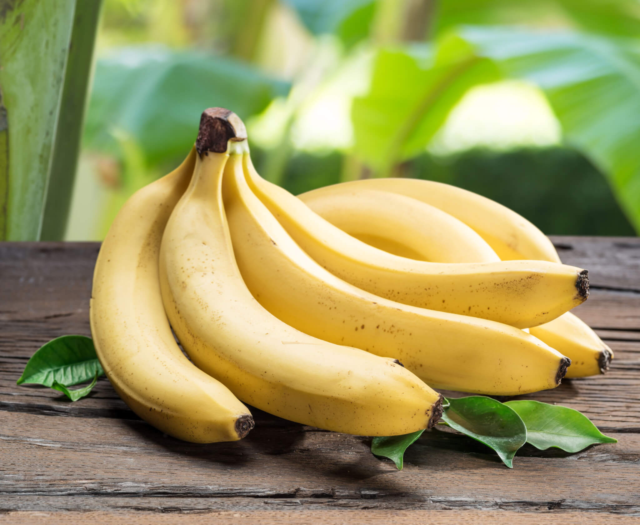 Are bananas OK on lectin free diet?