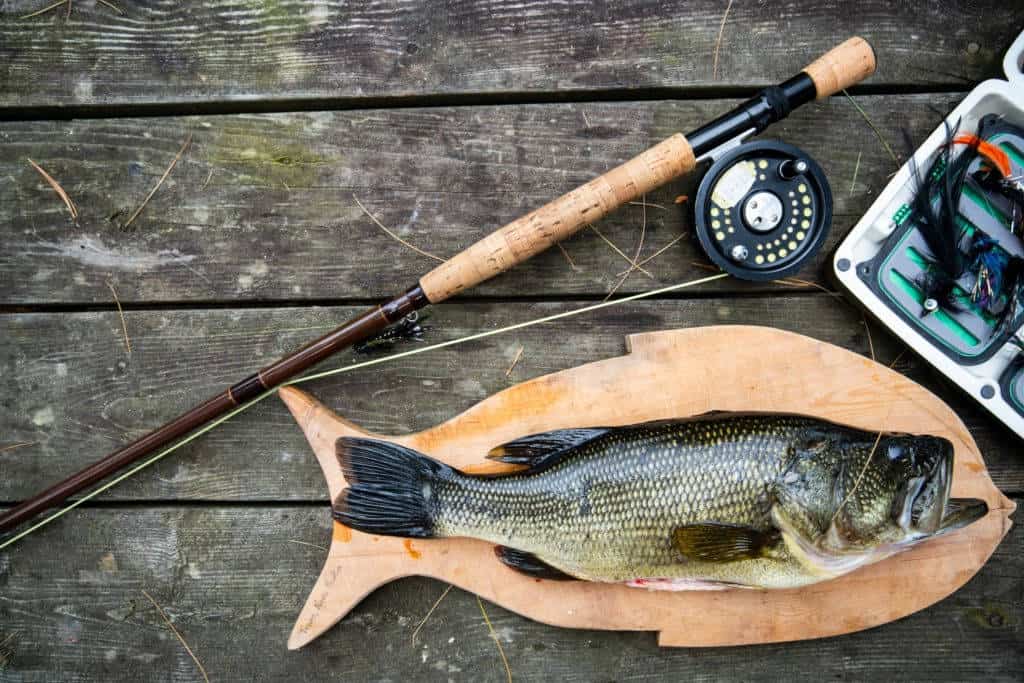 Are bass worth eating?