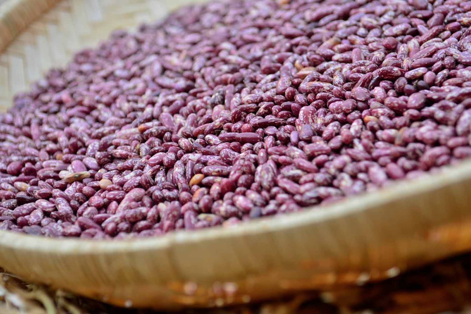 Are beans good for iron deficiency?