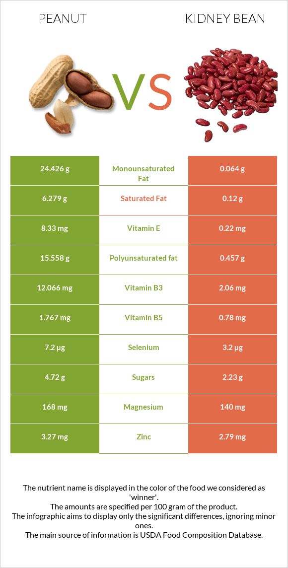 Are beans related to peanuts?