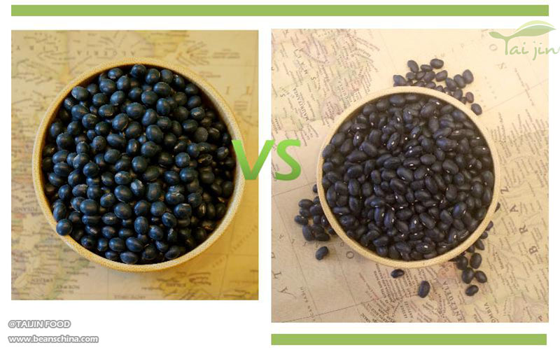 Are black beans and soybeans the same thing?