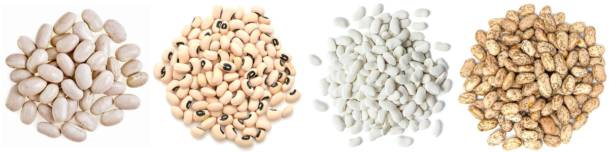 Are black beans good for long term storage?