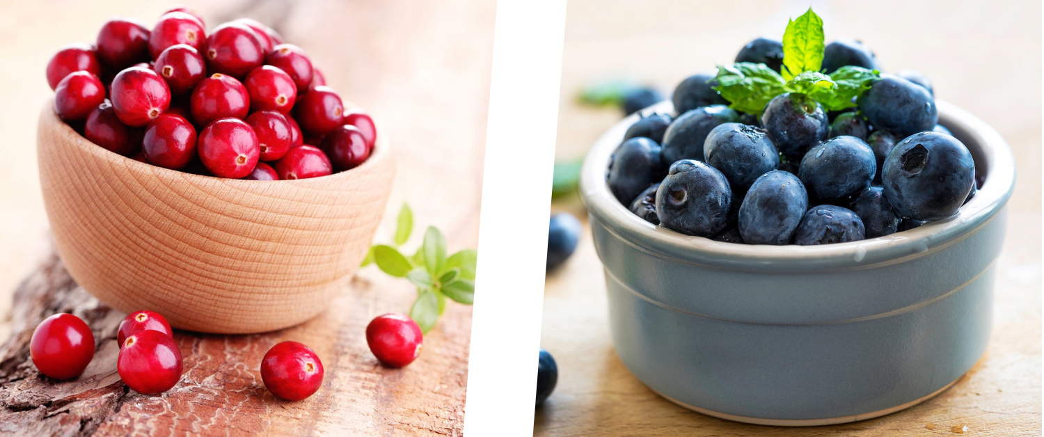 Are blueberries as good as cranberries for UTI?