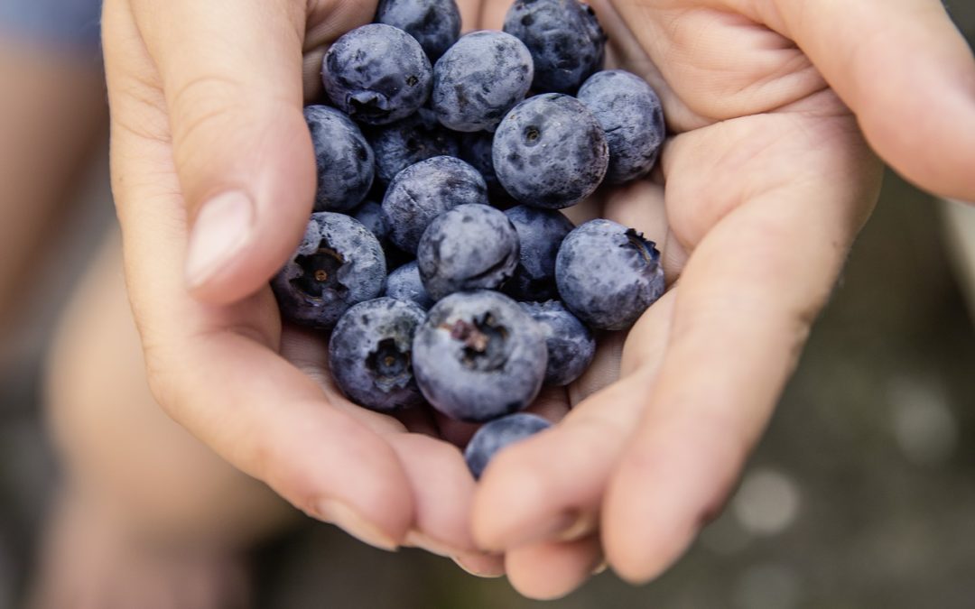 Are blueberries good before sports?