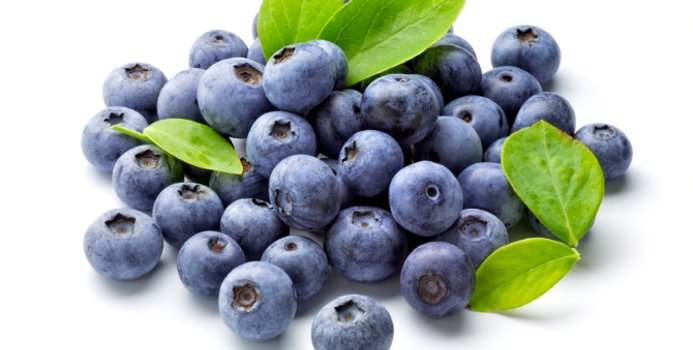 Are blueberries good for working out?
