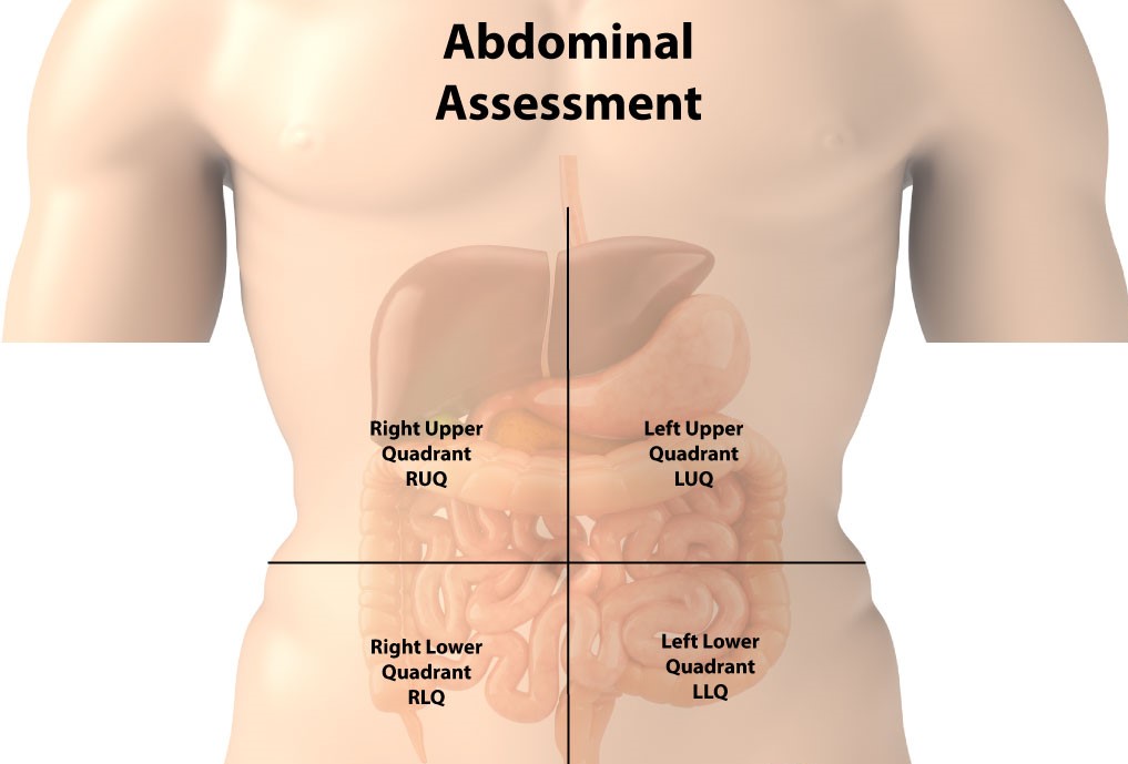 Are bowel sounds heard in all 4 quadrants?