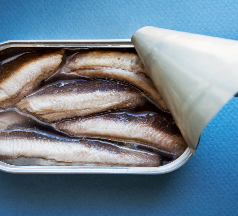 Are canned fish good for You?