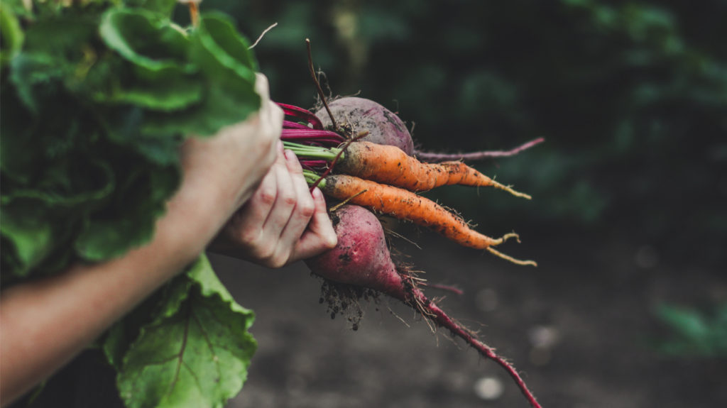 Are carrots a free food for diabetics?