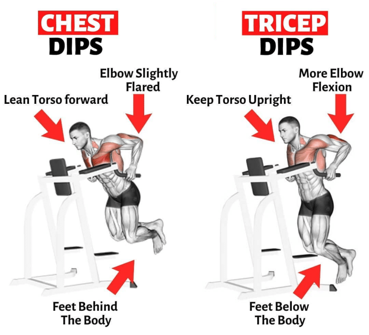 Are chest and tricep dips the same?