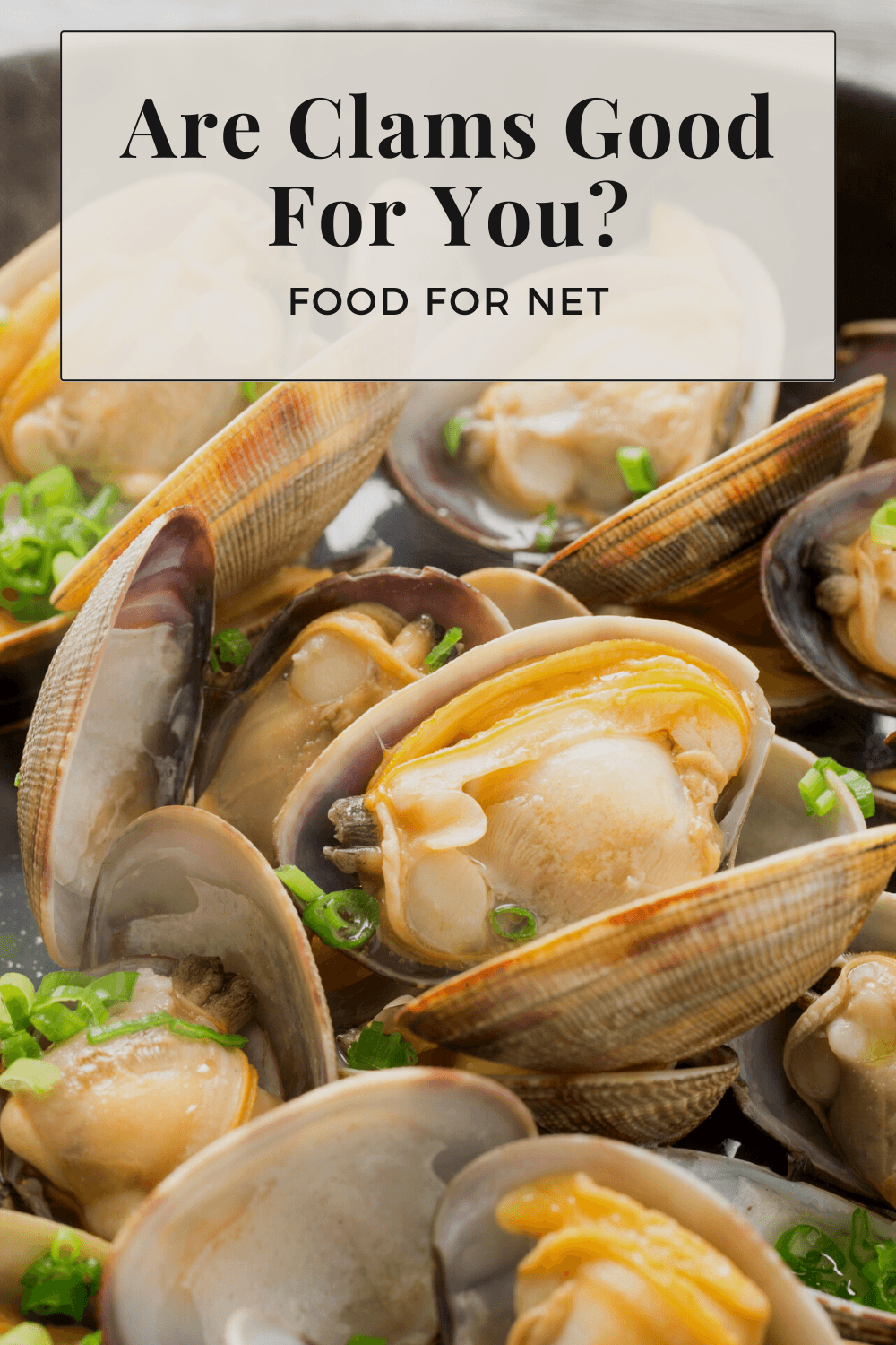 Are clams easy to digest?