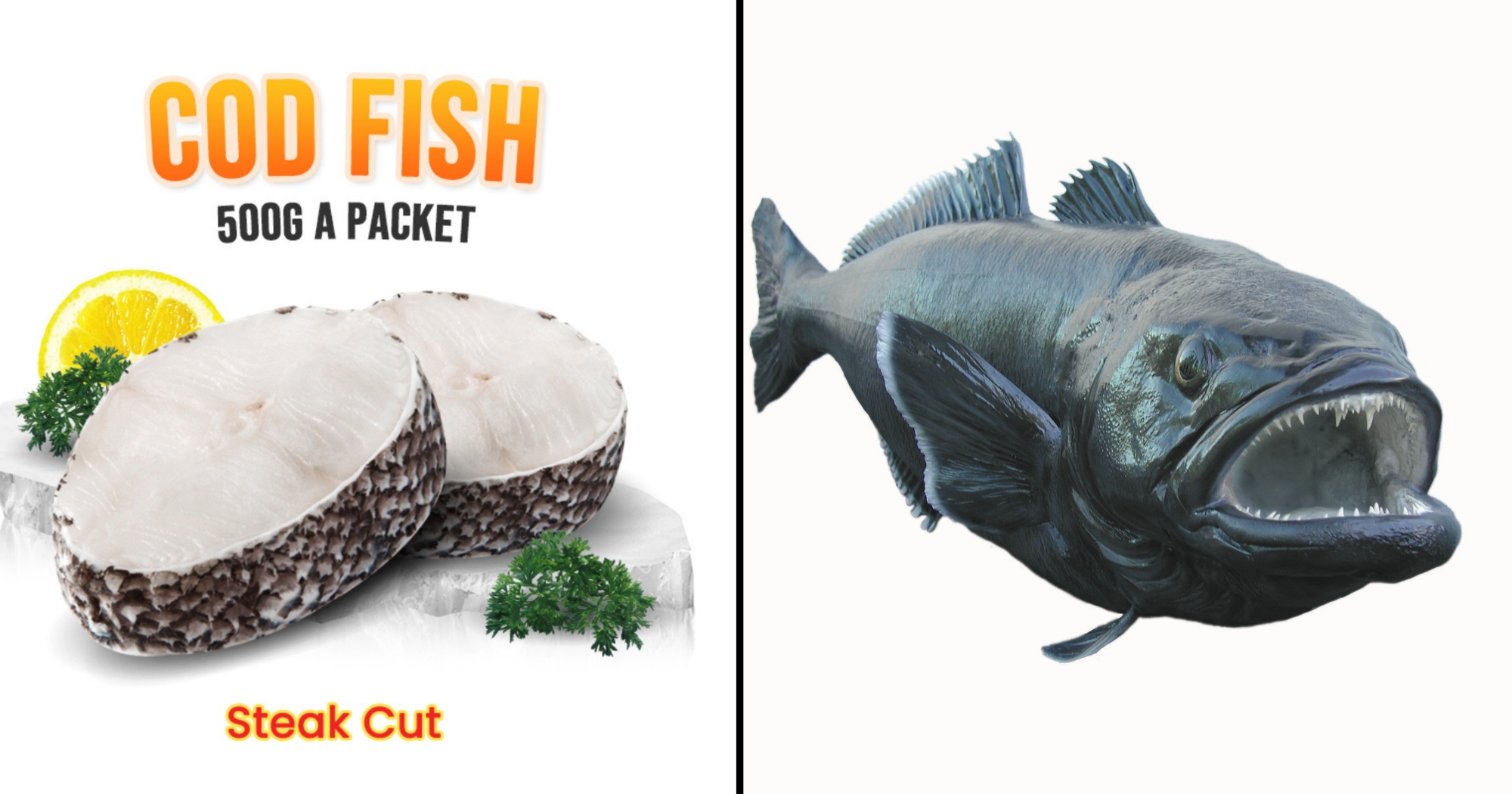 Are cod and sea bass similar?