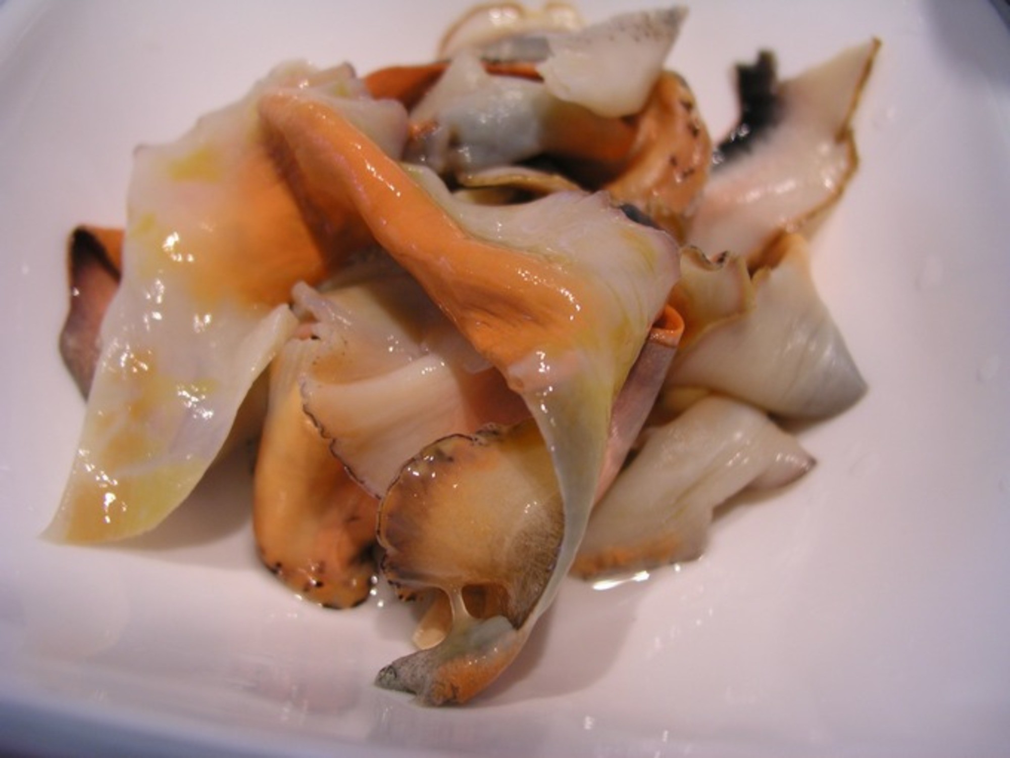 Are conch shell edible?