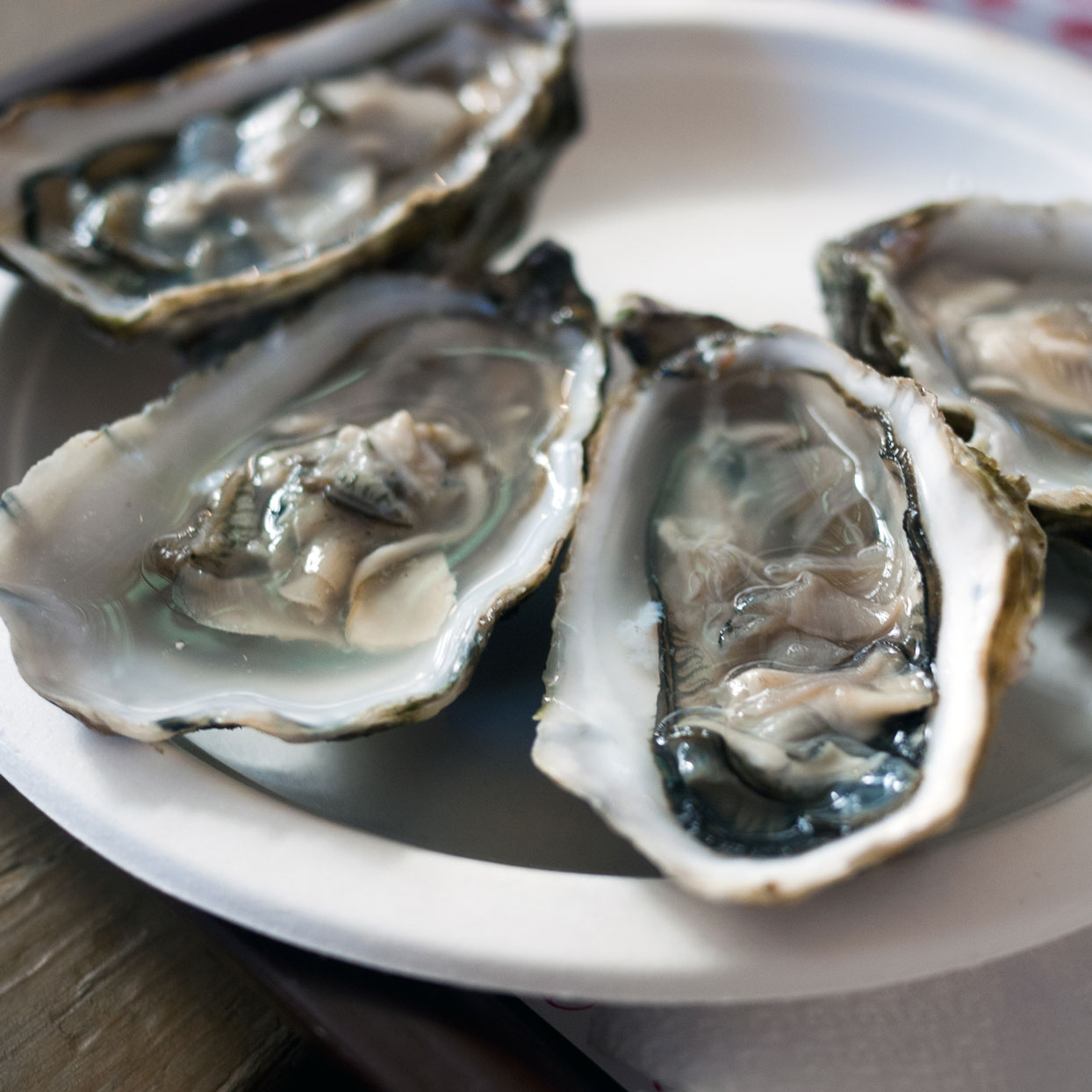 Are cooked oysters alive when you eat them?