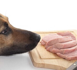 Are cooked pork chops good for dogs?
