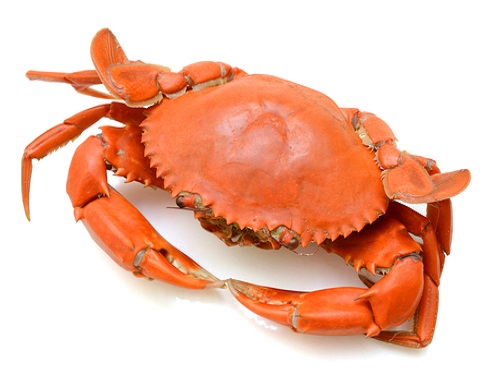 Are crab safe to eat?