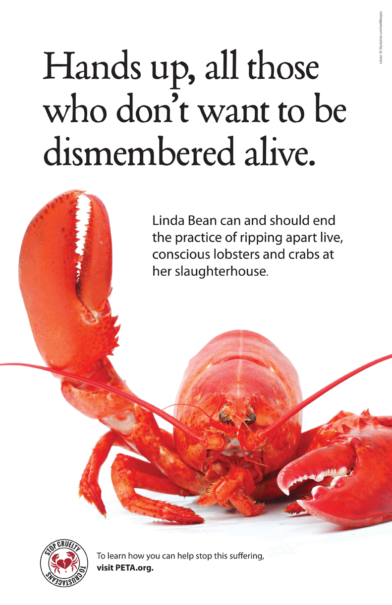 Are crabs and lobsters cruel?