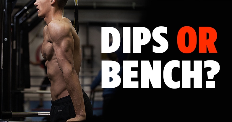 Are dips or bench press better for building chest muscles?