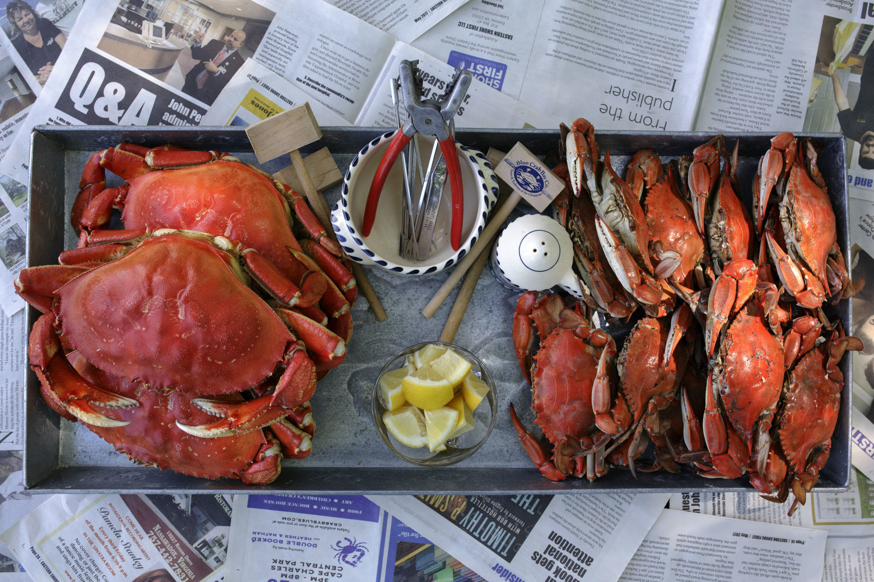 Are Dungeness crabs better than Blue crabs?
