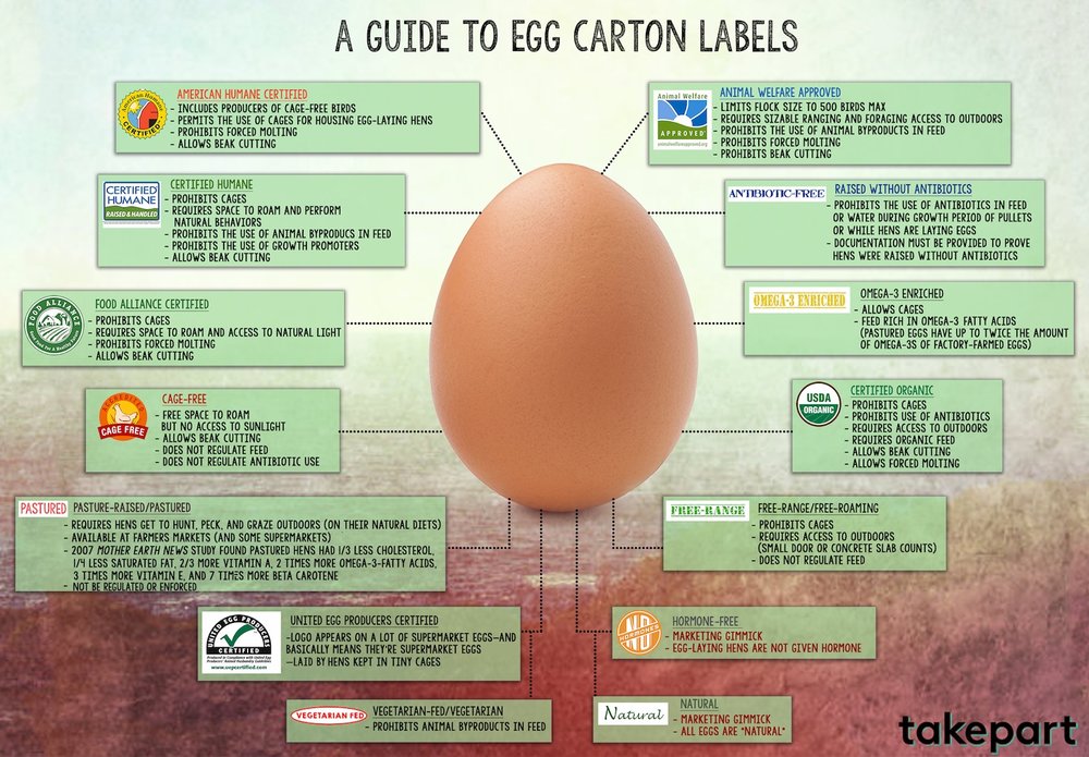 Are eggs good for healing the gut?