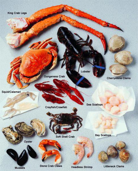 Are fish and seafood different?