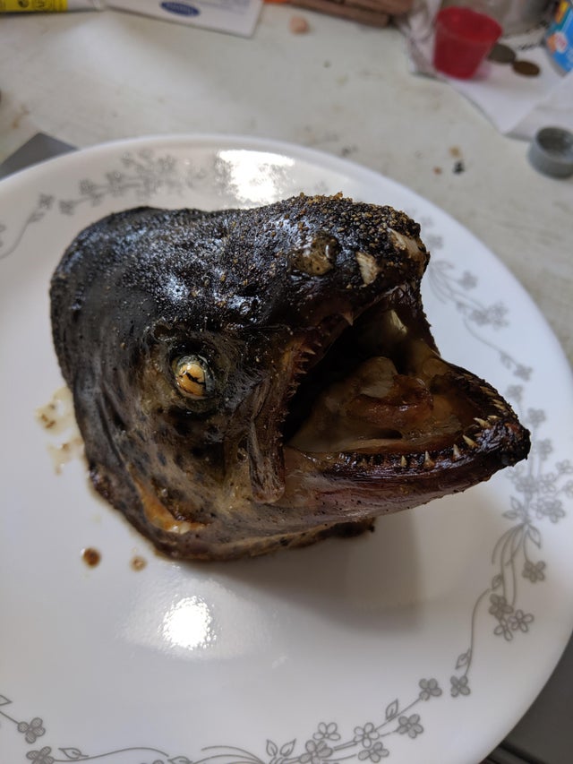 Are fish heads cheap?