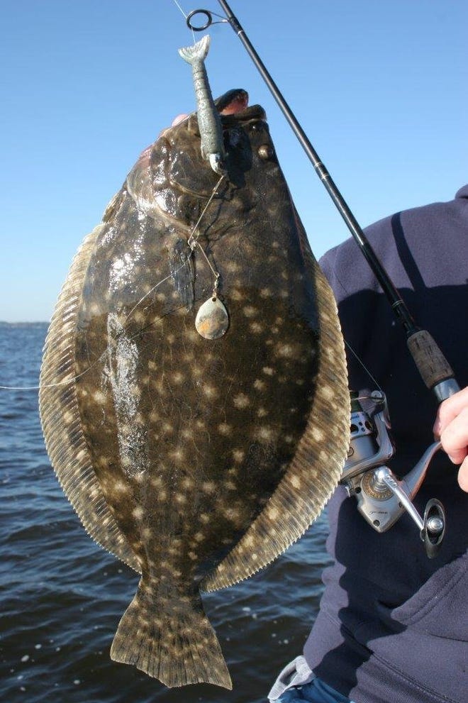 Are flounders in Florida?