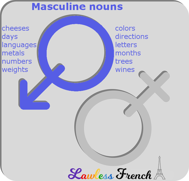 Are French nouns always masculine?