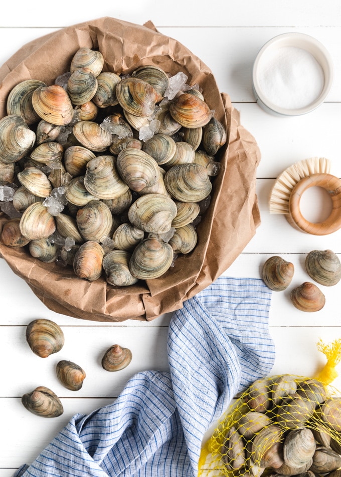 Are fresh clams better than canned?
