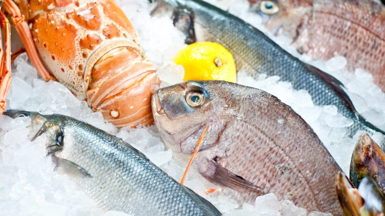 Are fresh water fish healthy?