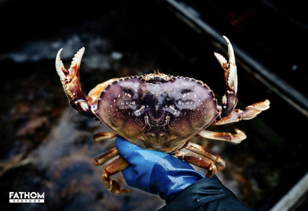 Are frozen crabs safe to eat?