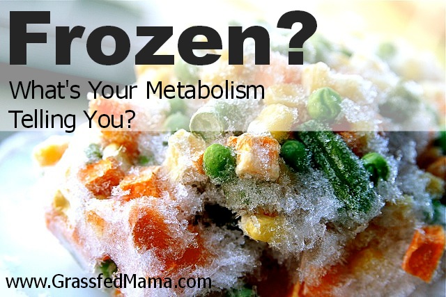 Are frozen meals slowing Your Metabolism?