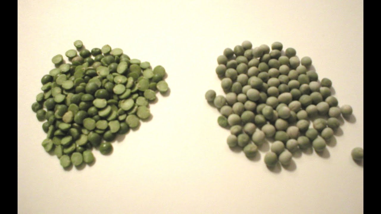 Are frozen peas the same as split peas?
