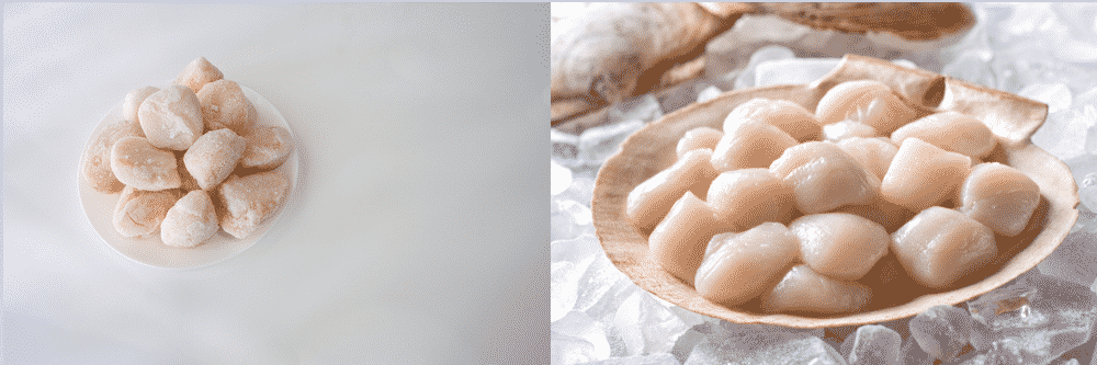 Are frozen scallops as good as fresh?