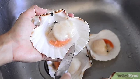 Are frozen scallops safe to eat?