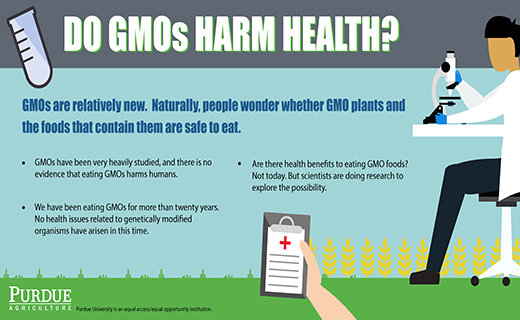 Are genetically modified foods are harmful?