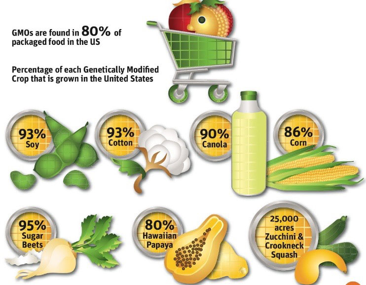 Are genetically modified foods nutritious?