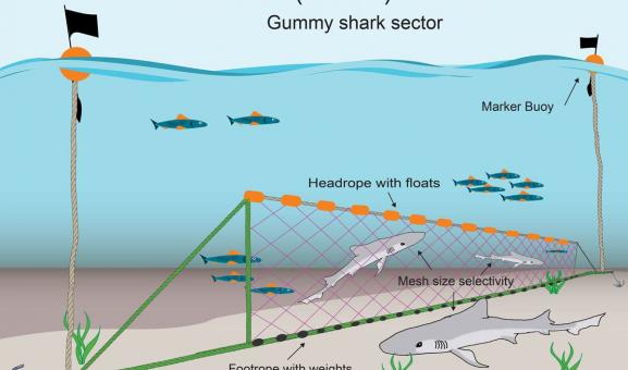 Are gill nets legal in Australia?