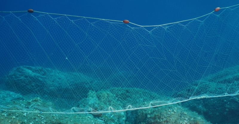 Are gill nets legal in California?