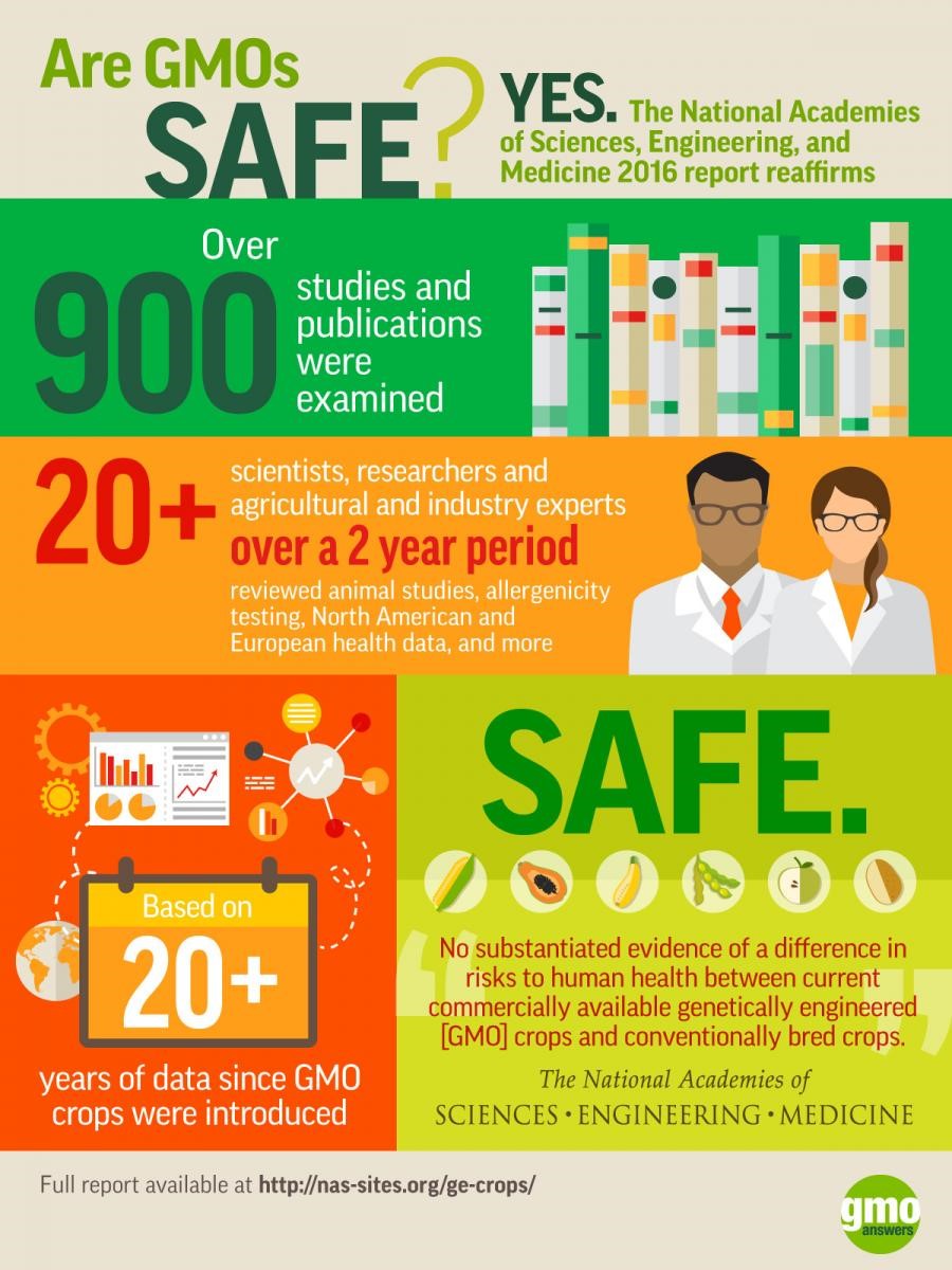 Are GMO food safe?