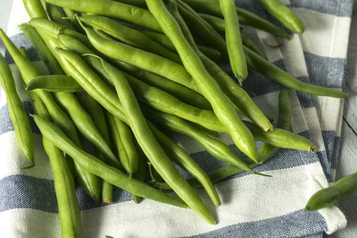 Are green beans the same as regular beans?