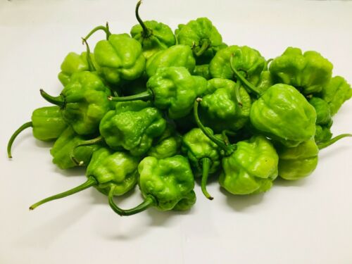 Are green Jamaican peppers hot?