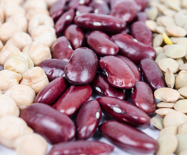 Are kidney beans high in lectins?