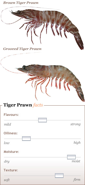 Are king prawns or tiger prawns better?