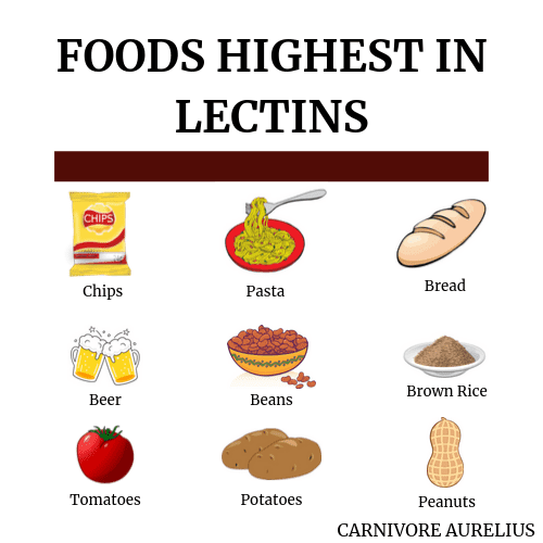 Are lectins actually bad for you?